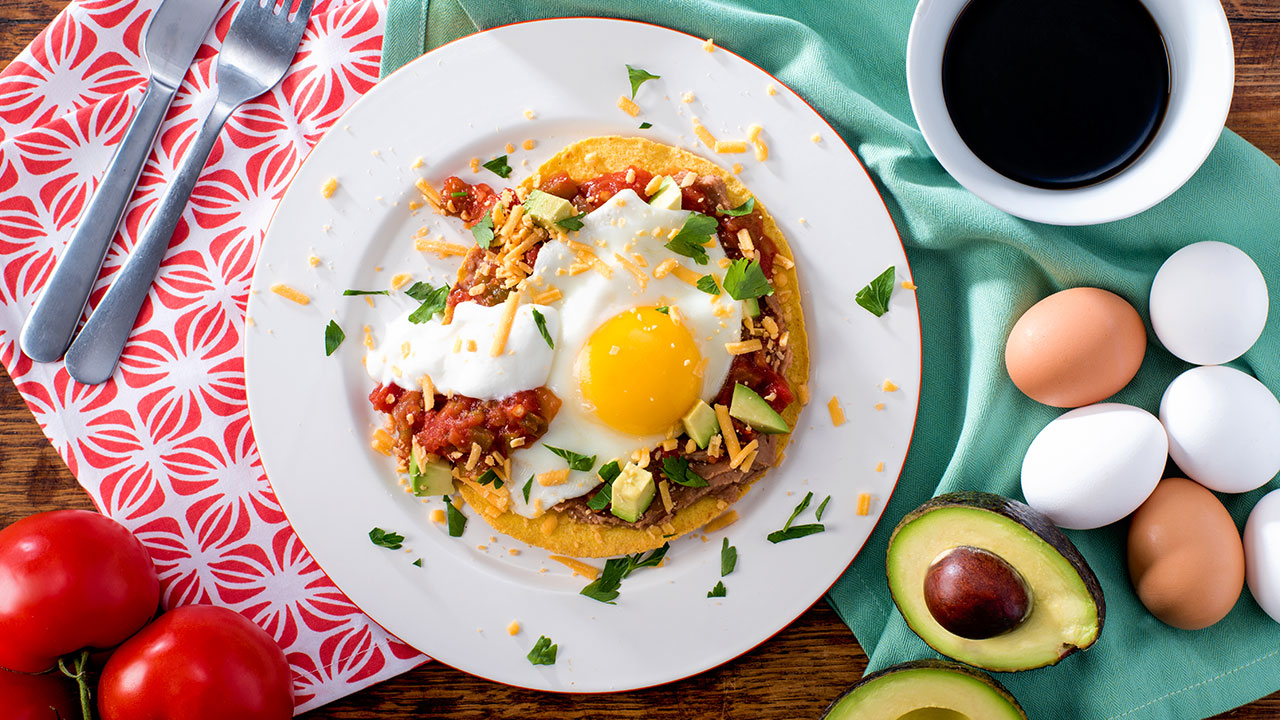 All About the Egg - Eggs.ca