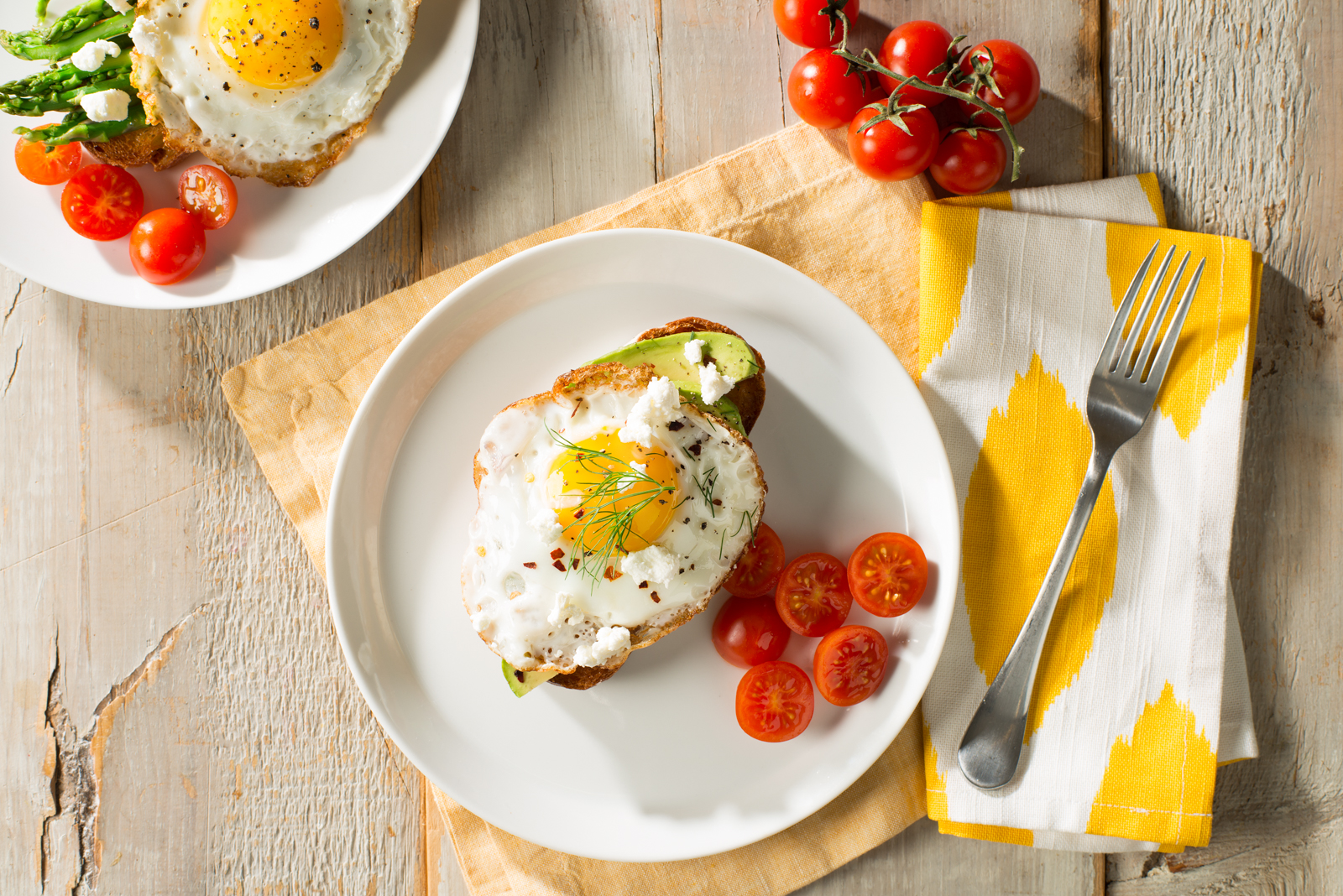 Fresh Facts on Eggs and Fats - Eggs.ca