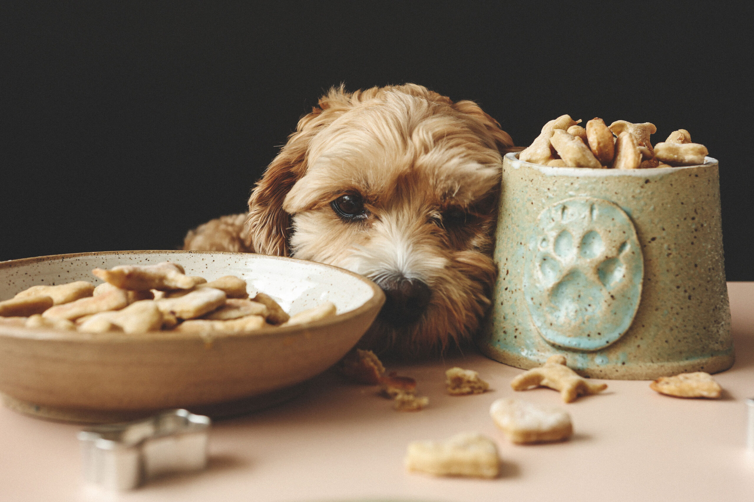 Homemade Peanut Butter and Banana Dog Cookies - Eggs.ca
