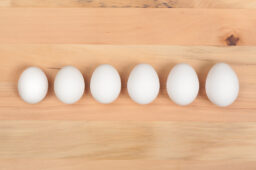 Why are eggs different sizes? - Eggs.ca