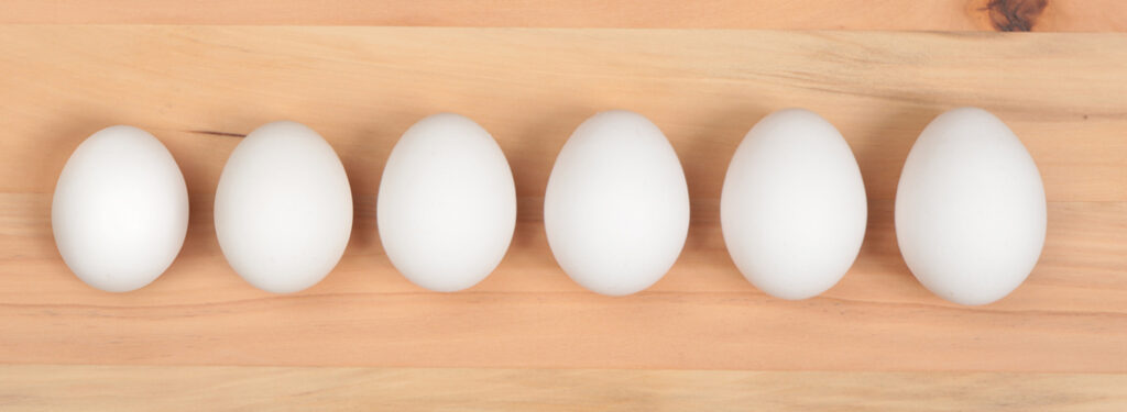 All About the Egg - Eggs.ca