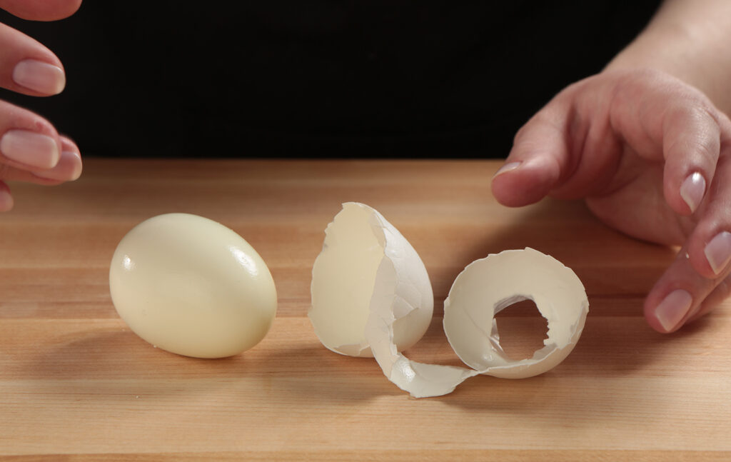 What makes some eggshells thinner or thicker than others? - Eggs.ca