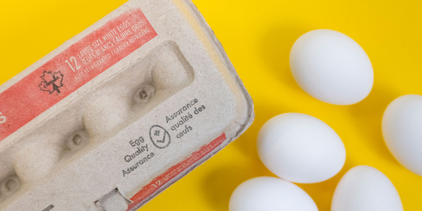 Buying Eggs at the Grocery Store - Eggs.ca